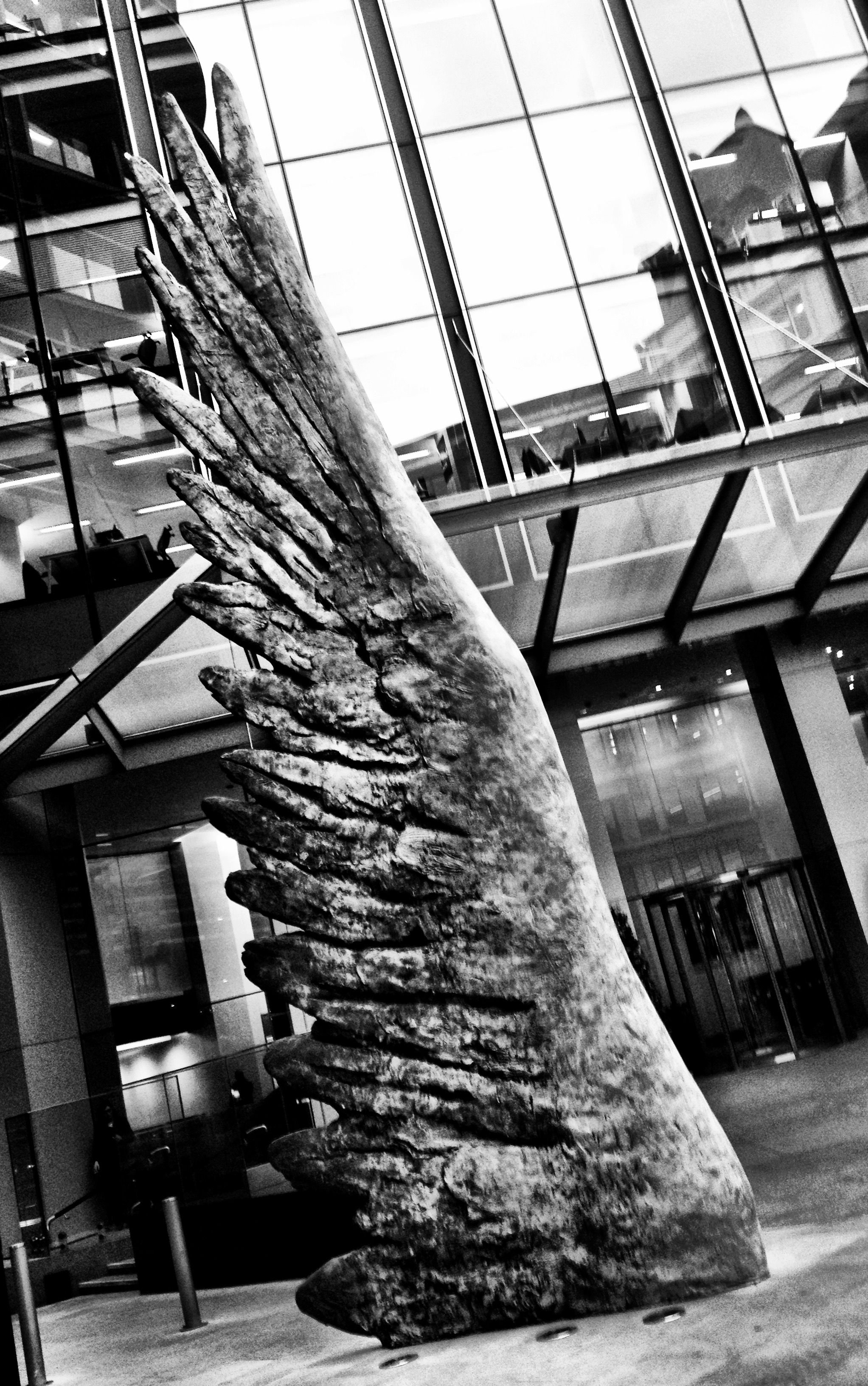 Launch pad | Freya Writes…